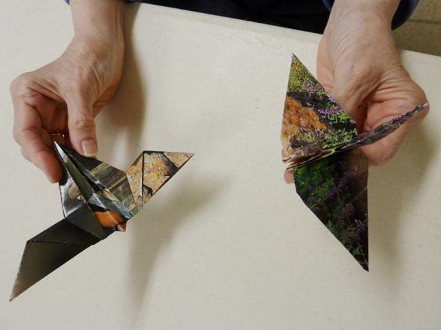 Origami: The Basics|Course Detail | Spring 2011 | Soar North Country