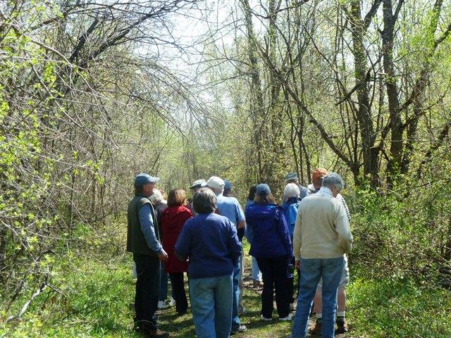Early Signs of Spring Nature Walk (Group A)|Course Detail | Spring 2014 ...